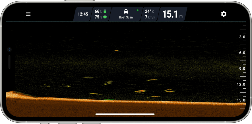 Sonar display basics